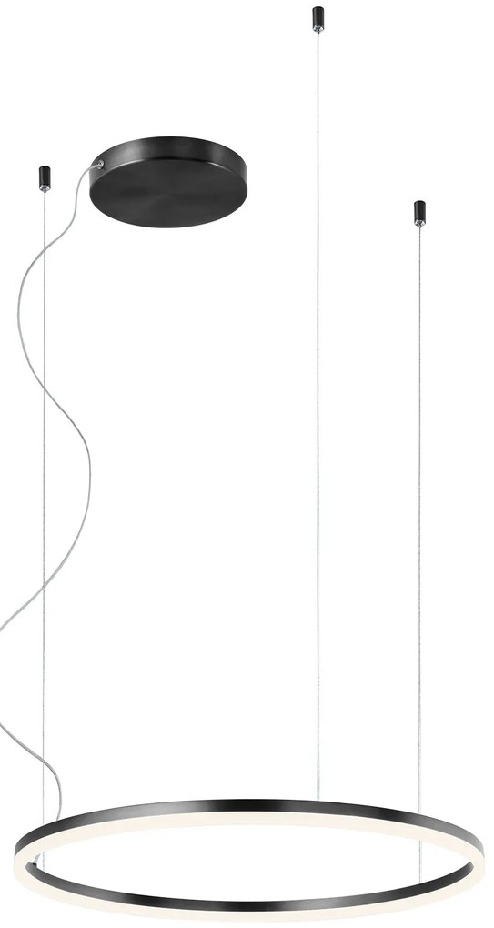 Redo 01-1948-DALI Orbit direct, závěsné kruhové svítidlo, 40,5W LED 3000K DALI, černá, prům. 60cm