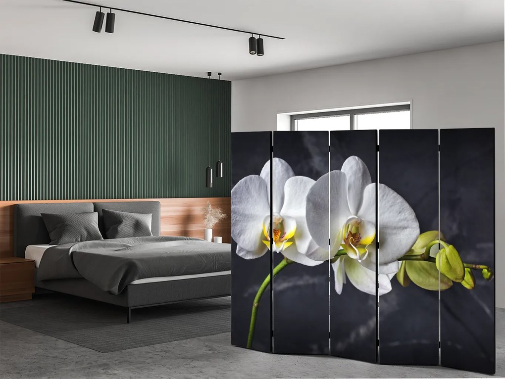 Paraván bílá orchidej na černém pozadí Rozměr: 225 x 180 cm