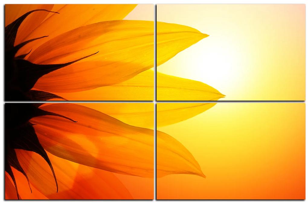 Obraz na plátně - Slunečnice květ 1201E (90x60 cm)