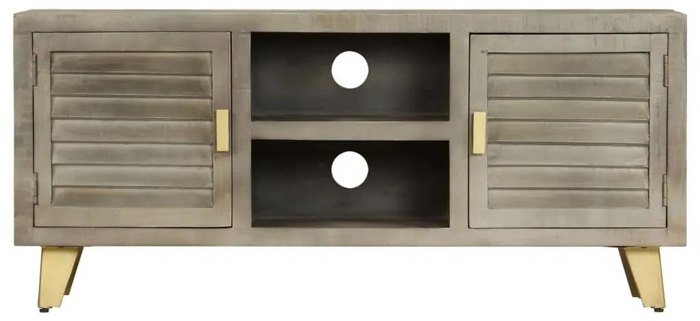 vidaXL TV stolek šedý s mosazí 110 x 30 x 48 cm masivní mangovník