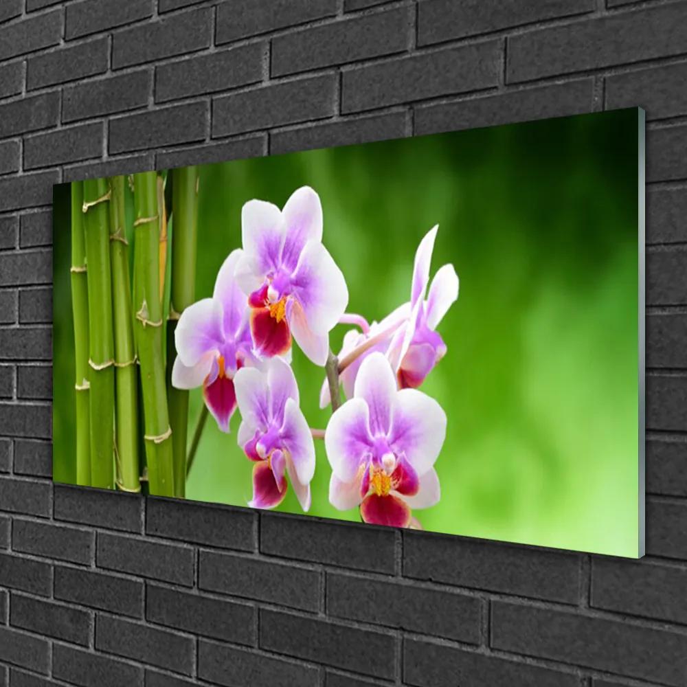Obraz na skle Bambus Orchidej Květiny Zen 100x50 cm