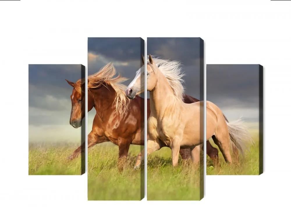 Vícedílný obraz Koně Cválající Na 3D Louce Nedostatek Nedostatek Přírodní plátno 160x120