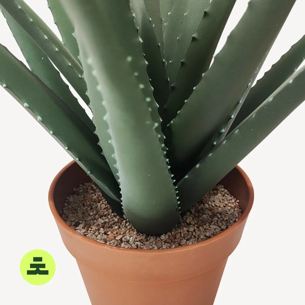 Umělá Aloe 59 cm
