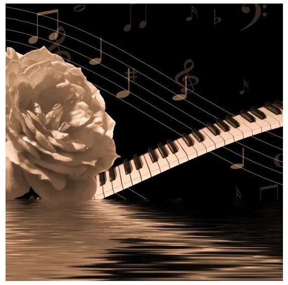 Černobílý obraz růže a klavíru (30x30 cm), 40 dalších rozměrů
