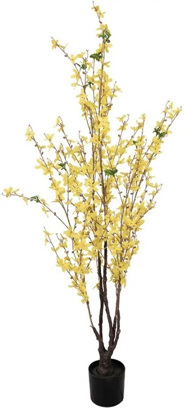 Dekorační keřík se žlutými květy zlatice Forsythia - 20*20*125 cm
