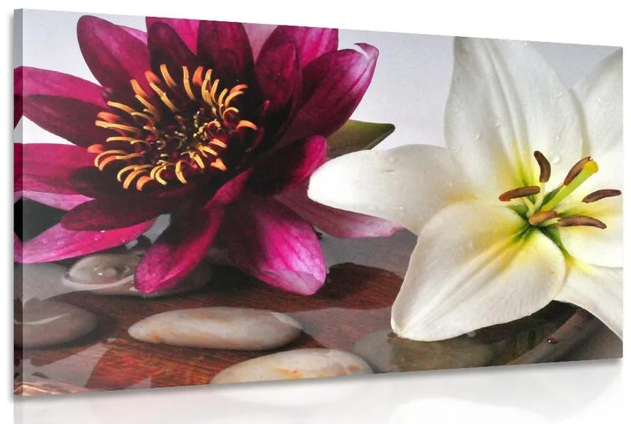 Obraz květiny v misce se Zen kameny Varianta: 60x40