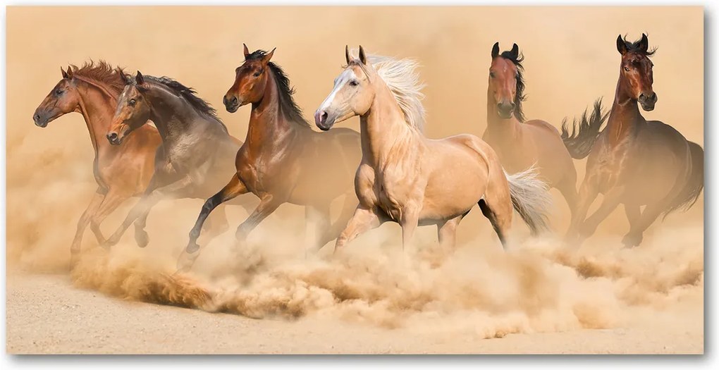 Foto obraz skleněný horizontální Koně poušť