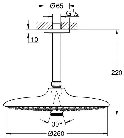 Grohe Euphoria Hlavová stropní sprcha 26461000