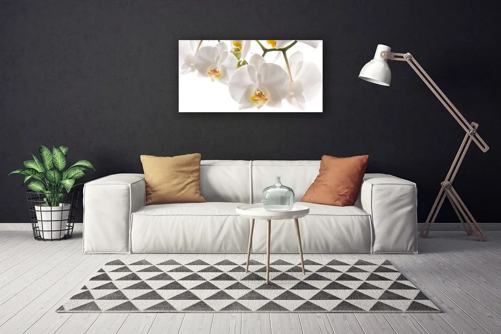 Obraz na plátně Orchidej Květiny Příroda 100x50 cm