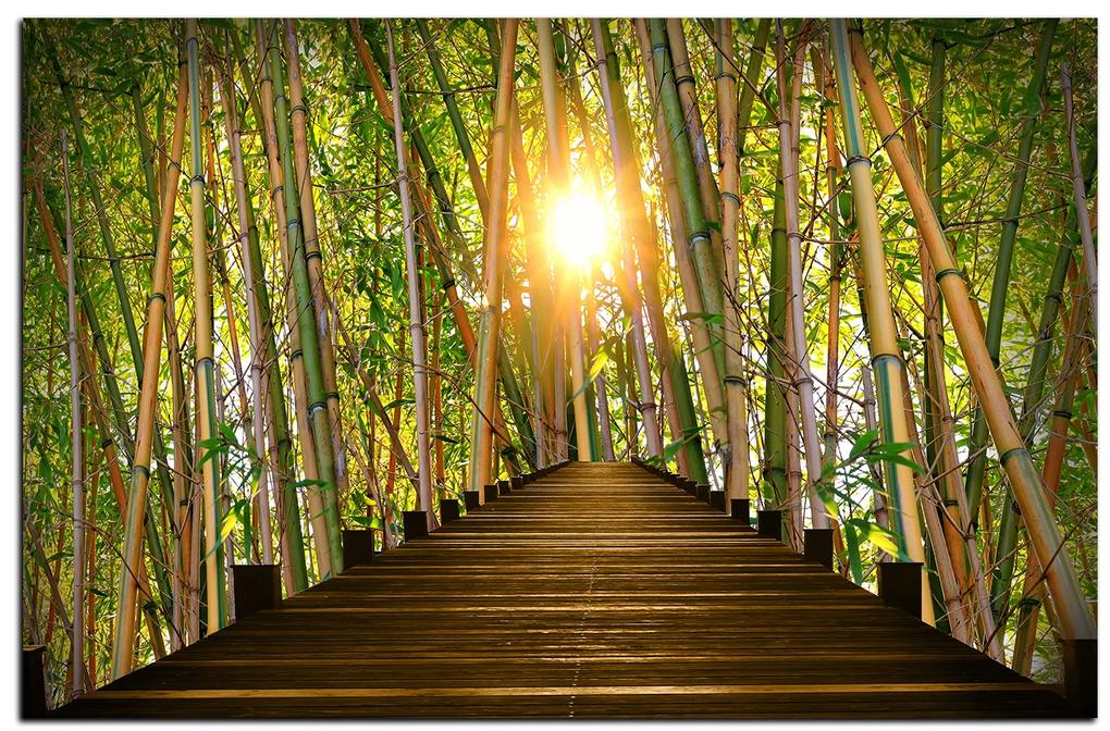 Obraz na plátně - Dřevěná promenáda v bambusovém lese 1172A (75x50 cm)