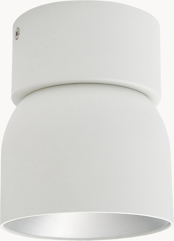 Stmívatelné stropní svítidlo Pitcher