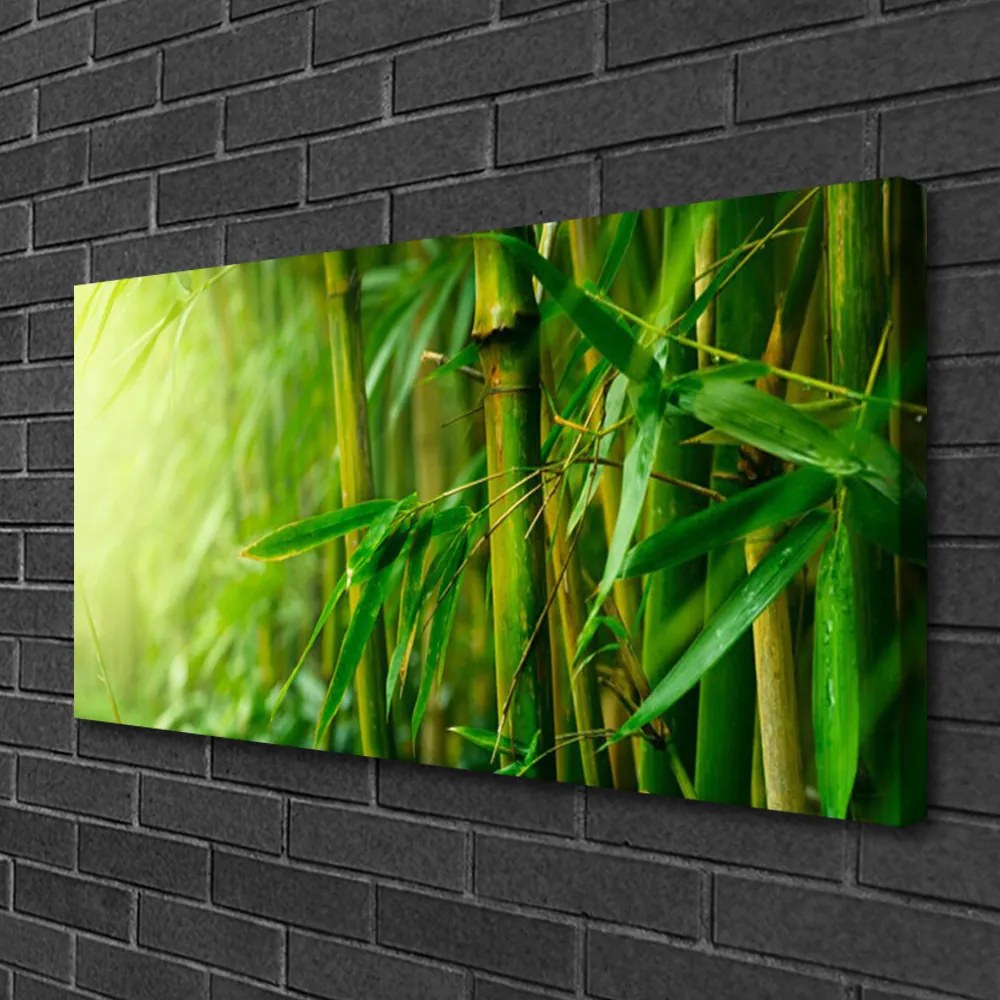 Obraz na plátně Bambus Stonky Rostlina 140x70 cm