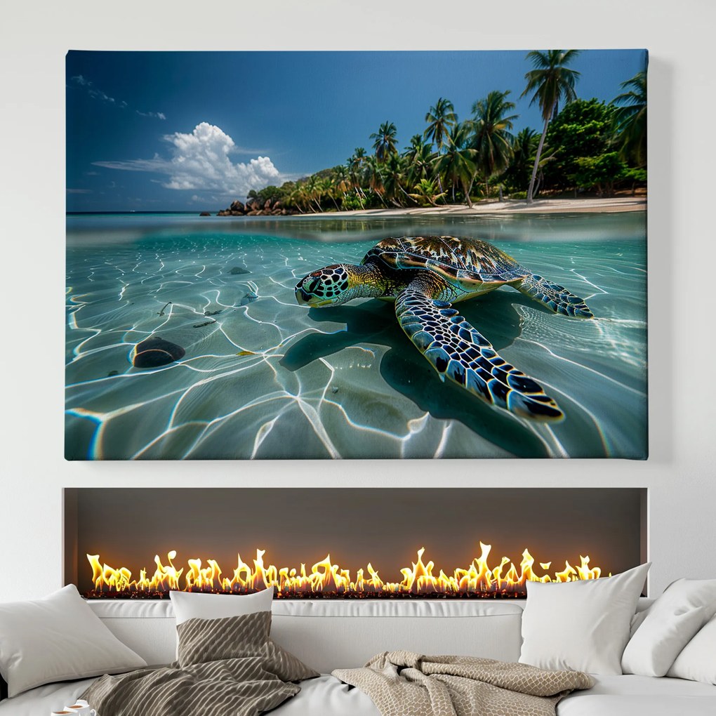 Obraz na plátně - Mořská želva u pláže FeelHappy.cz Velikost obrazu: 90 x 60 cm