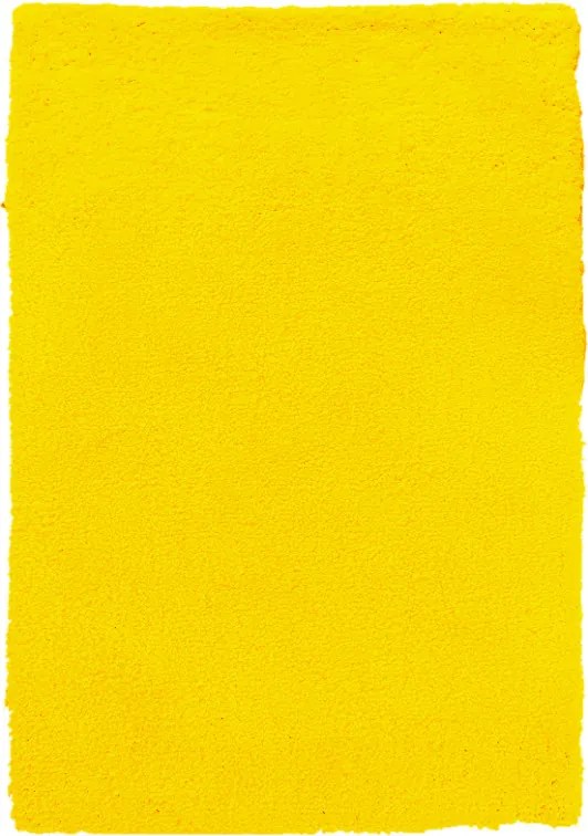B-line, Kusový koberec Spring Yellow, 60x110, žlutá, ložnice