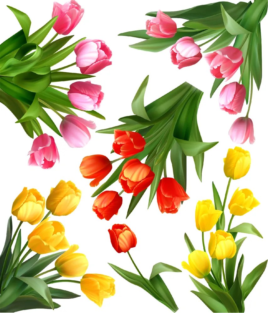PIPPER. Samolepka na zeď "Tulipány"
