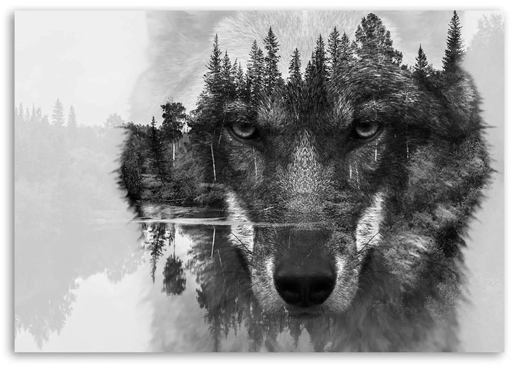 Gario Obraz na plátně Černý vlk na pozadí lesa a jezera abstraktní Rozměry: 60 x 40 cm