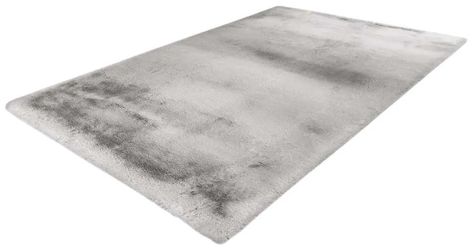 Lalee Kusový koberec Eternity 900 Silver Rozměr koberce: 200 x 290 cm