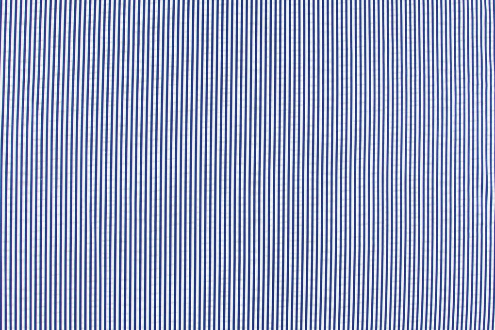 Krepové prodloužené povlečení V kapradinách s pruhem - bílomodrá Velikost: 140 x 220 + 70 x 90