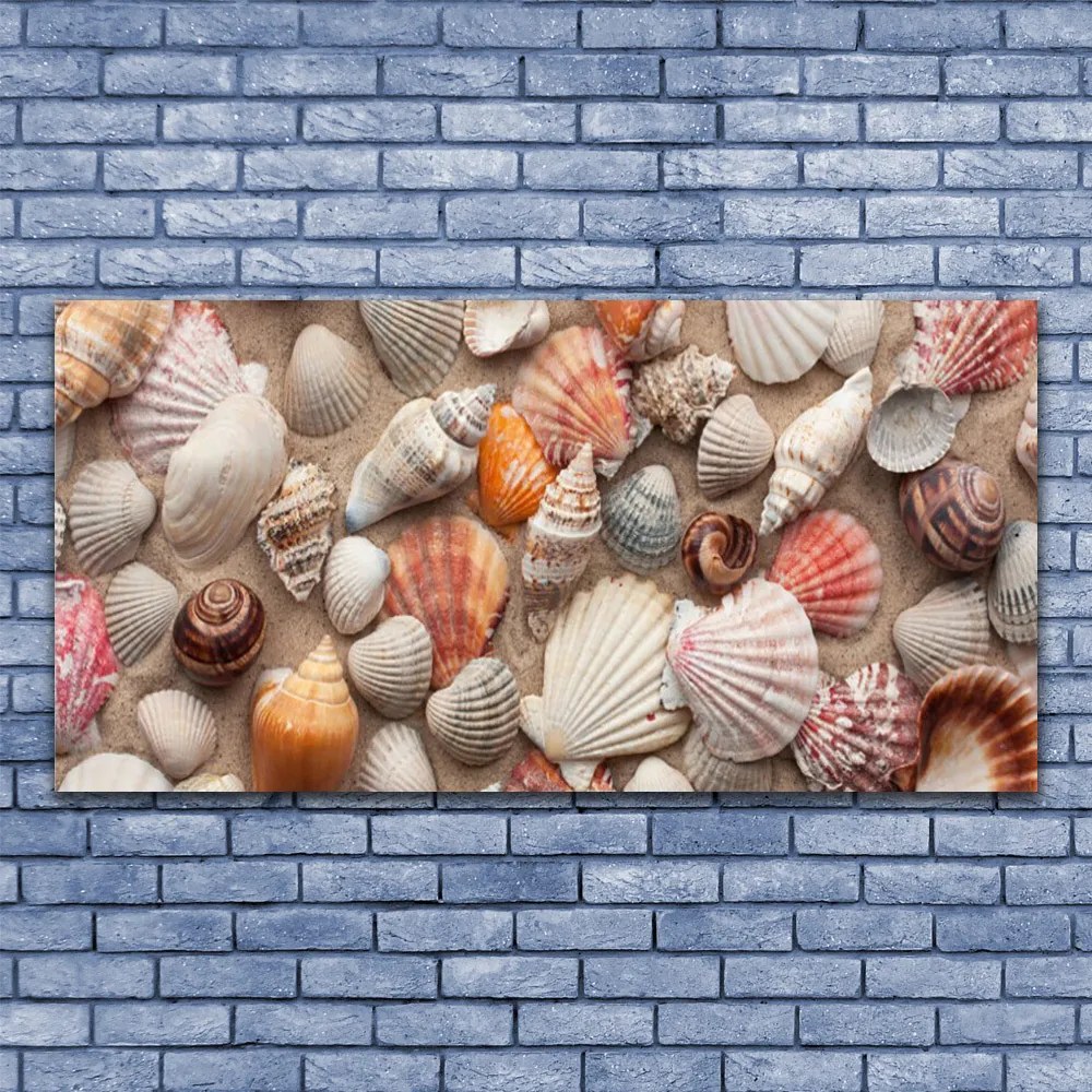 akrylový obraz Korýš Písek Umění 120x60 cm
