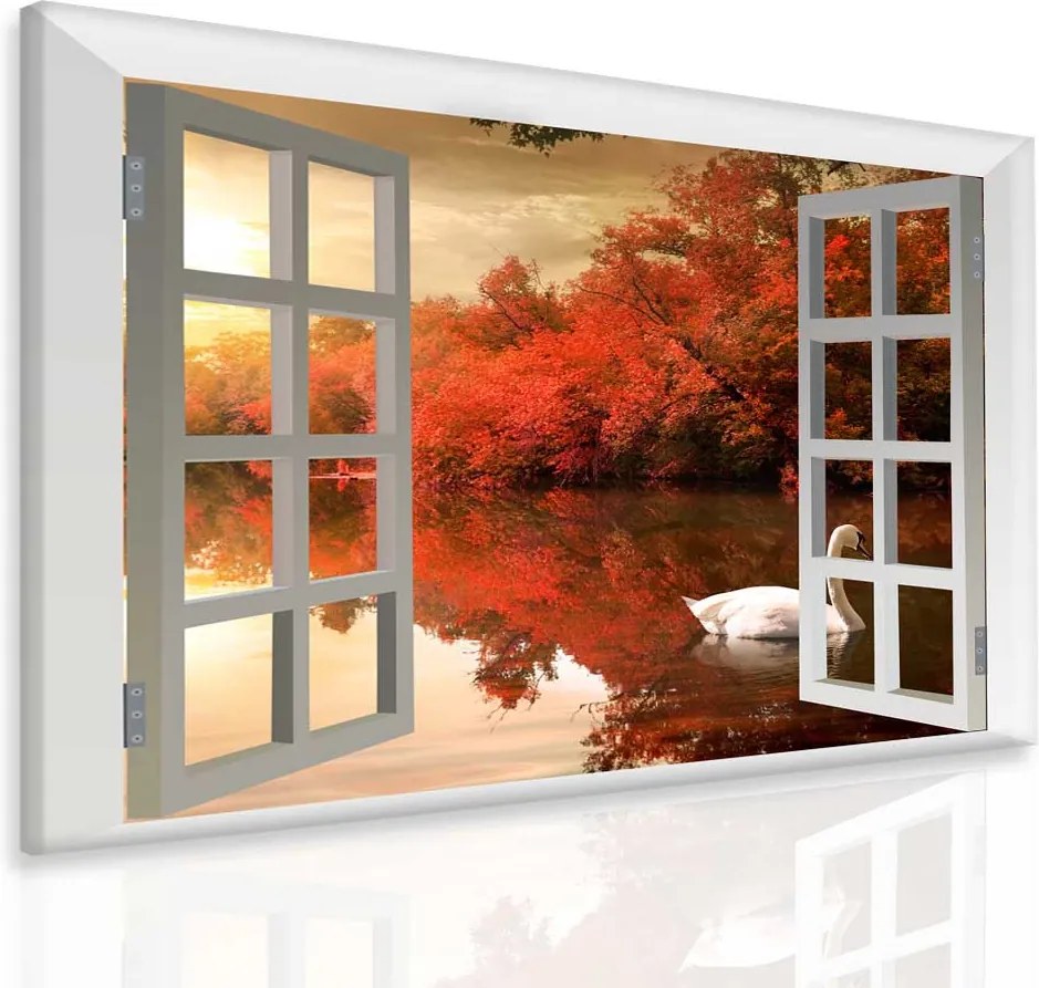 Obraz Labuť za oknem (130x110 cm) - InSmile ®