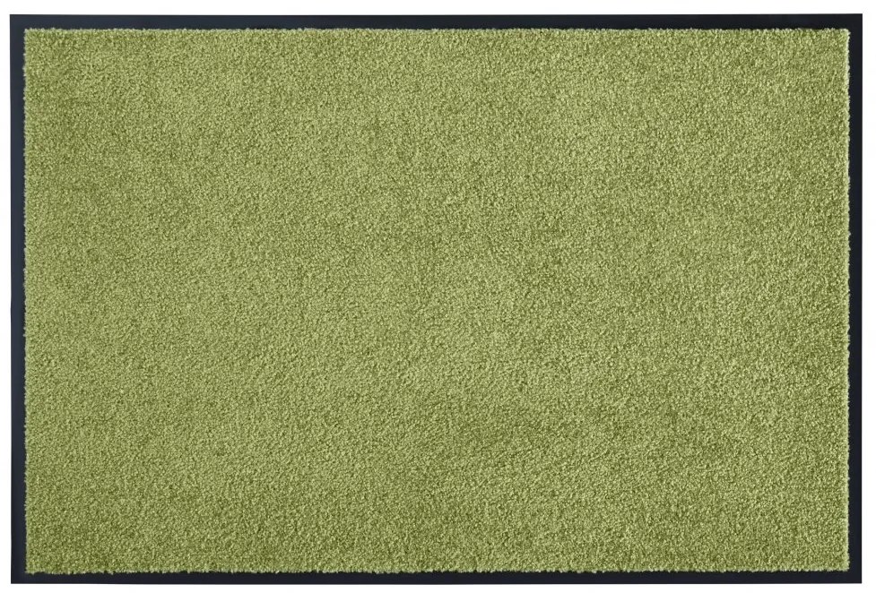 Hanse Home Collection koberce Rohožka Wash & Clean 101470 Green Rozměry koberců: 40x60