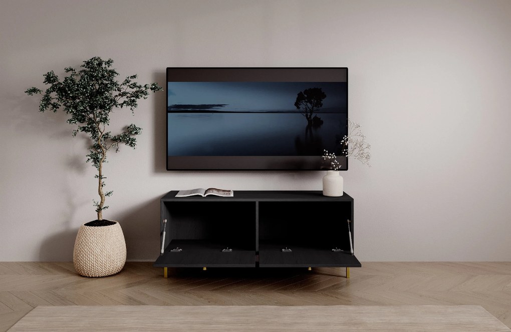 ADRK Furniture TV skříňka 2D Tili RTV-TIL-2D-B