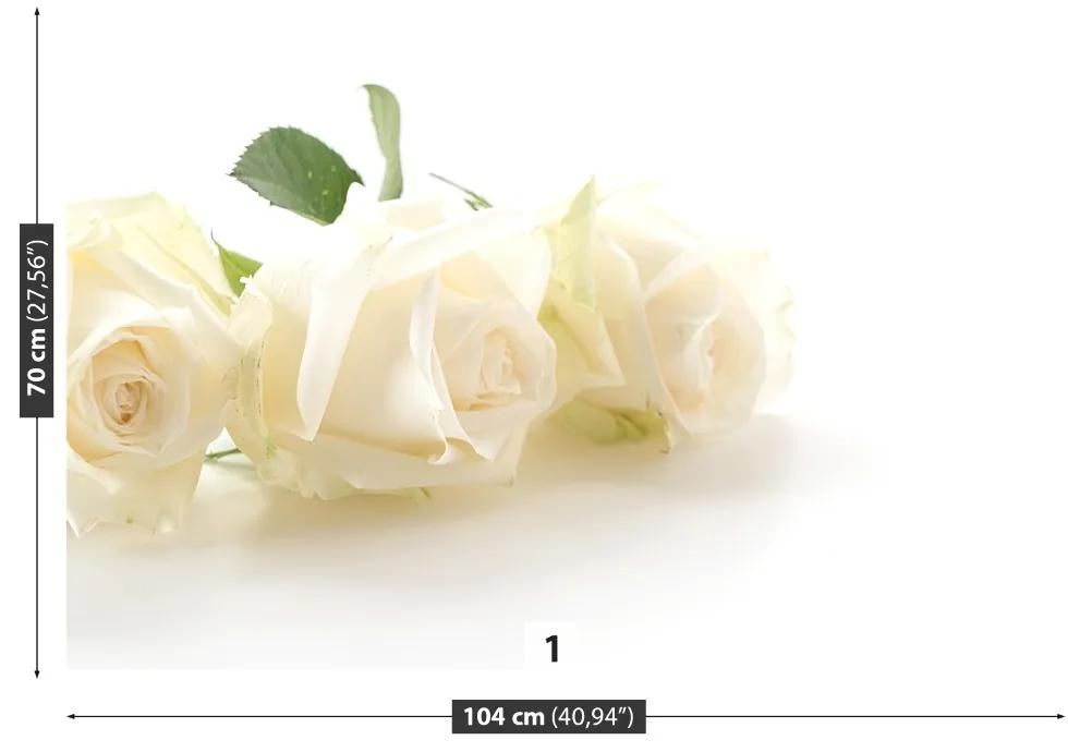 Fototapeta Bílé růže 104x70