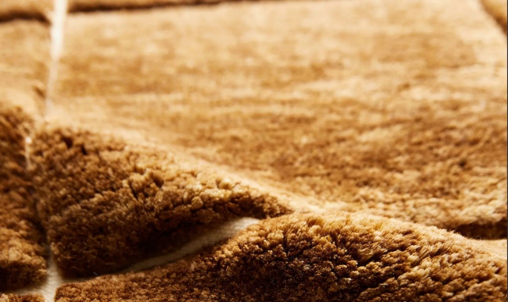 Diamond Carpets India, Ručně vázaný kusový koberec Radiant DE 2269 Multi Colour, 120x170, hnědá, ložnice