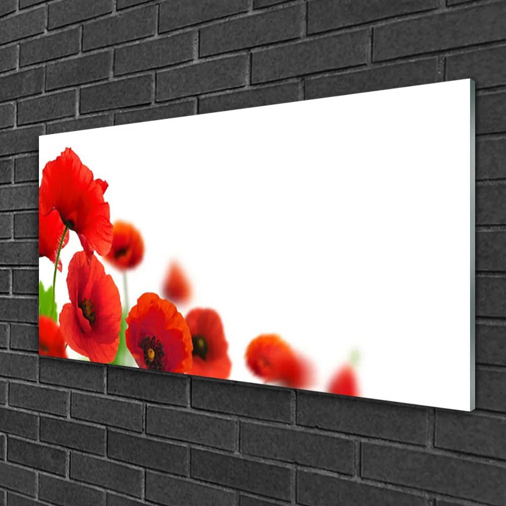Obraz na skle Máky Rostlina Příroda 125x50 cm