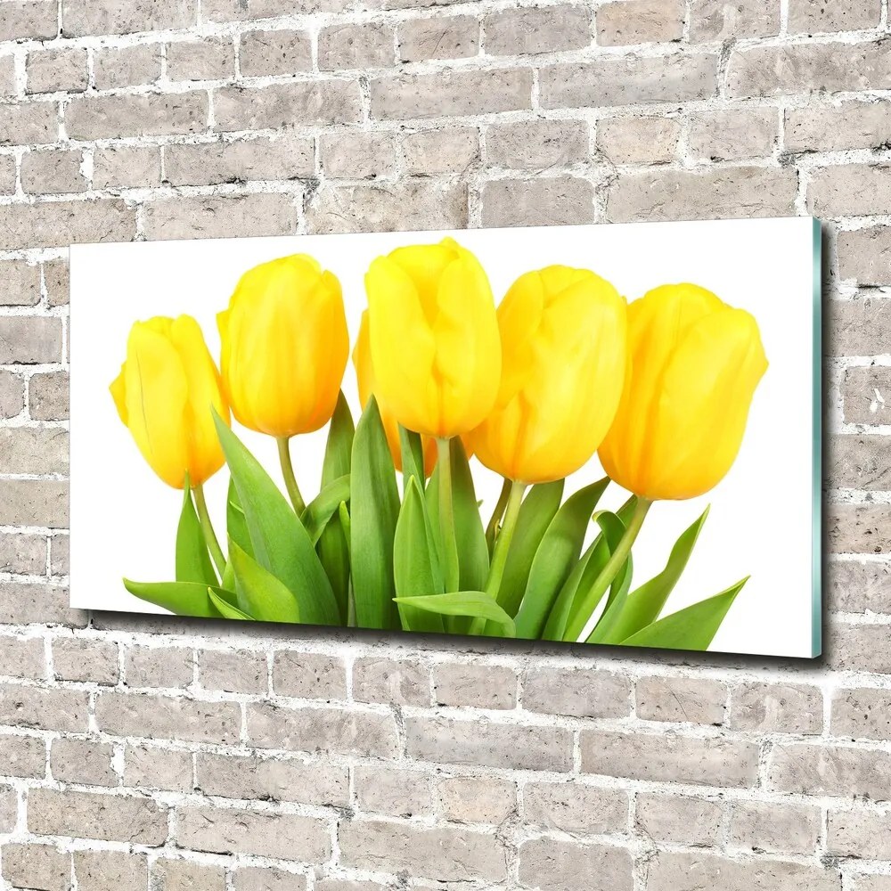 Wallmuralia Foto-obrah sklo tvrzené Žluté tulipány 140x70 cm