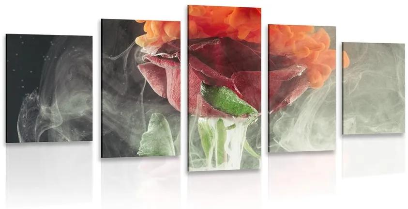 5-dílný obraz růže s abstraktními prvky Varianta: 100x50