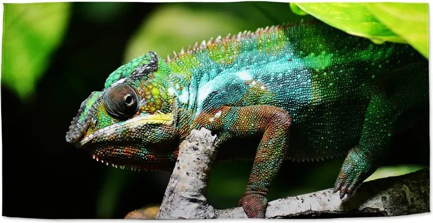 Sablio Ručník Chameleon - 30x50 cm