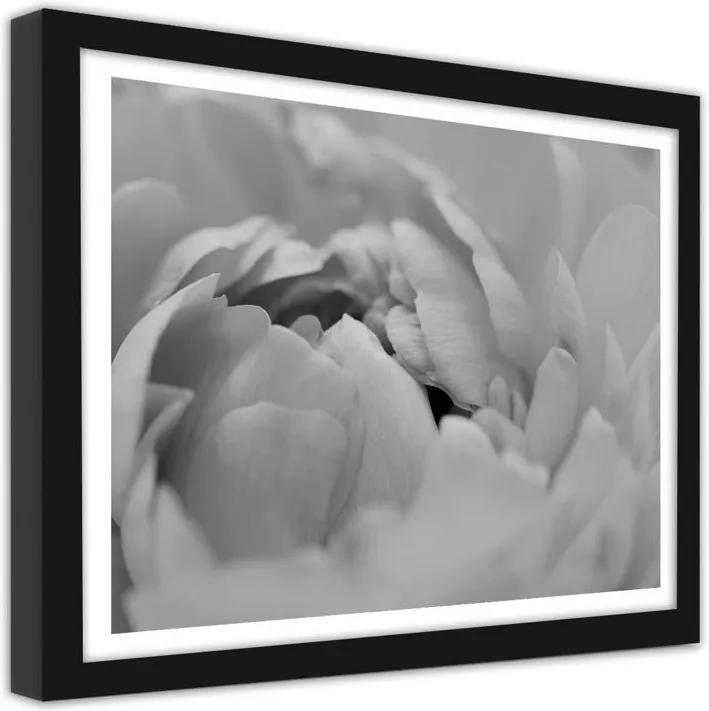 CARO Obraz v rámu - Macro Petals 90x60 cm Černá