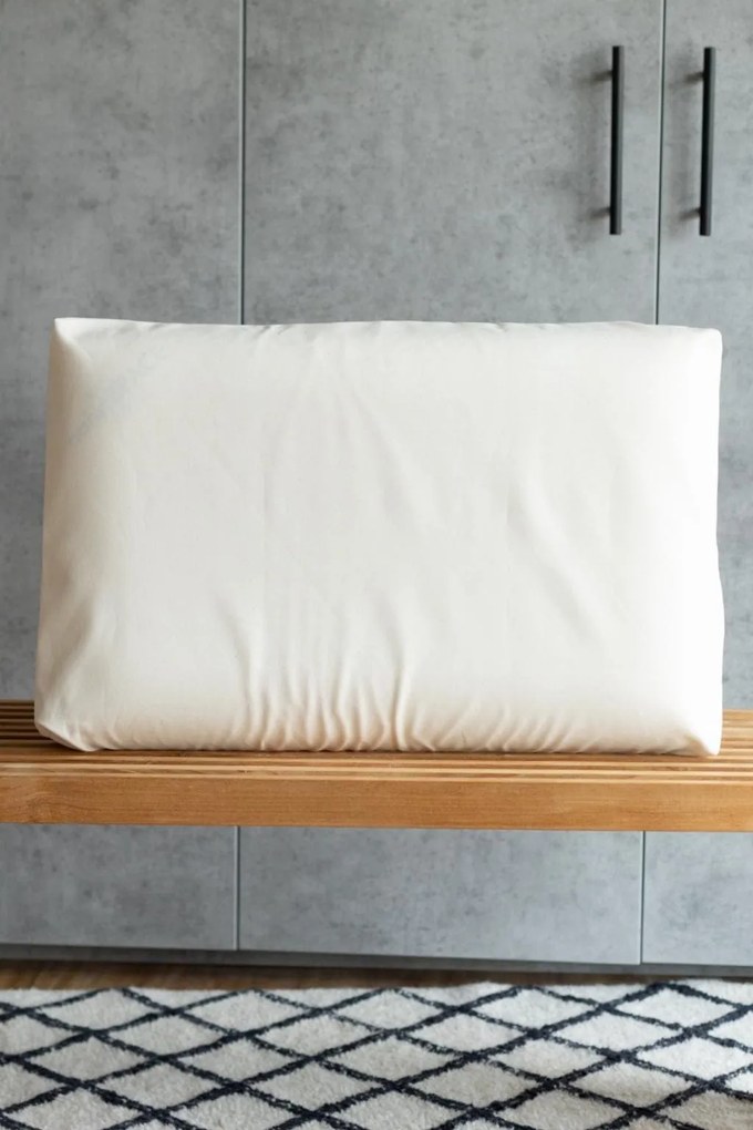 nanoSPACE Protiroztočový povlak na anatomický polštář 42 x 66 cm | Nanobavlna® – režná biobavlna