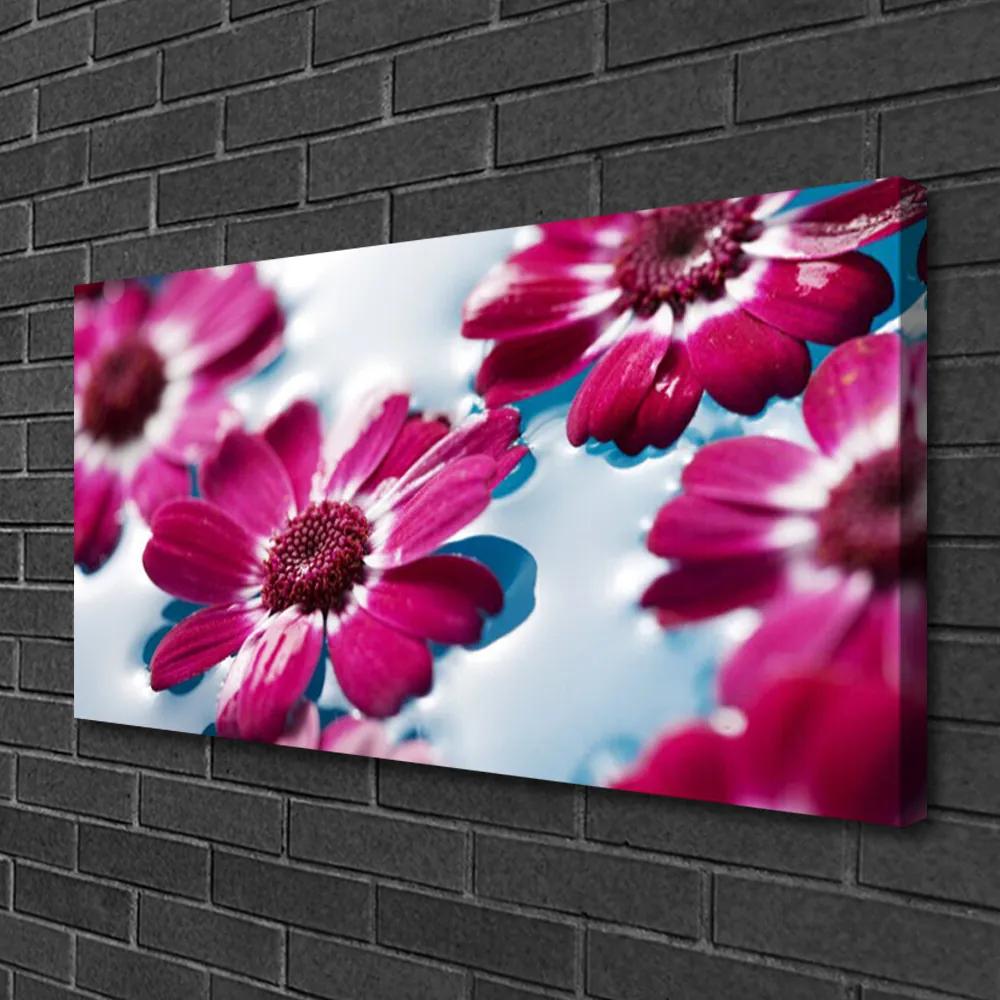 Obraz na plátně Květiny na Vodě Příroda 120x60 cm