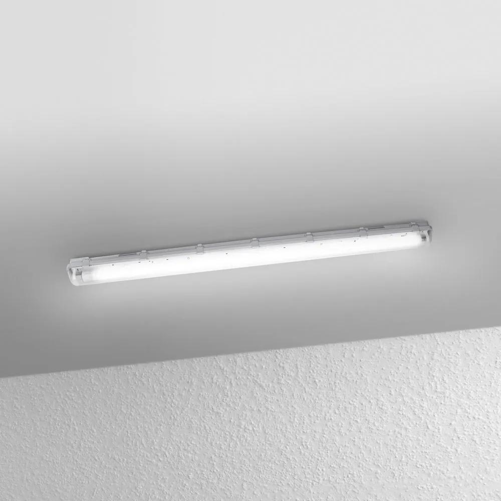 LED zářivkové světlo 100 DAMP PROOF ESSENTIAL, studená bílá