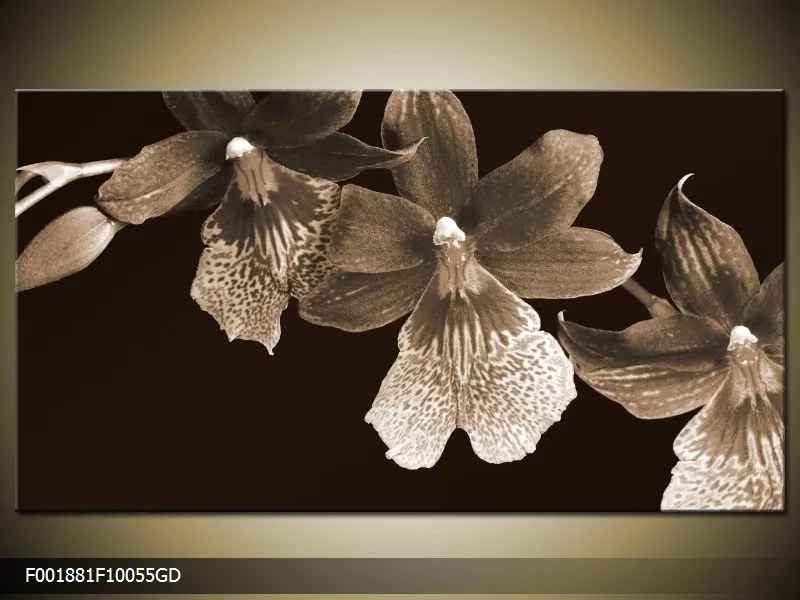 Černobílý obraz květin (), 40 dalších rozměrů