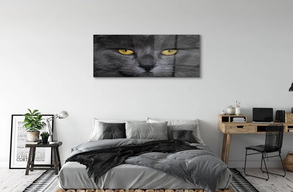 akrylový obraz Černá kočka 120x60 cm