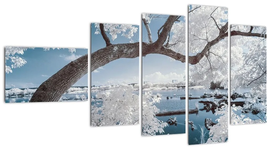 Obraz zasněženého stromu u vody (110x60 cm), 40 dalších rozměrů