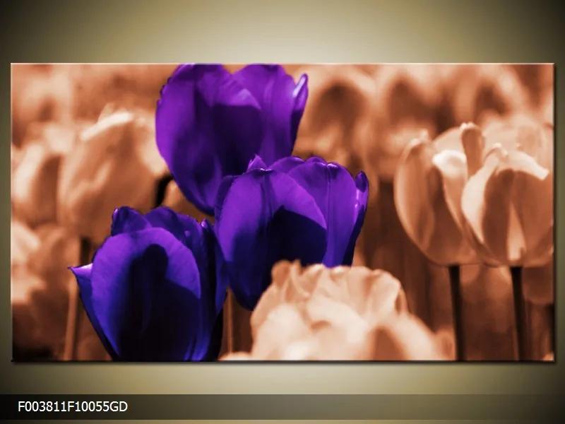 Obraz tří fialových růží  (), 40 dalších rozměrů