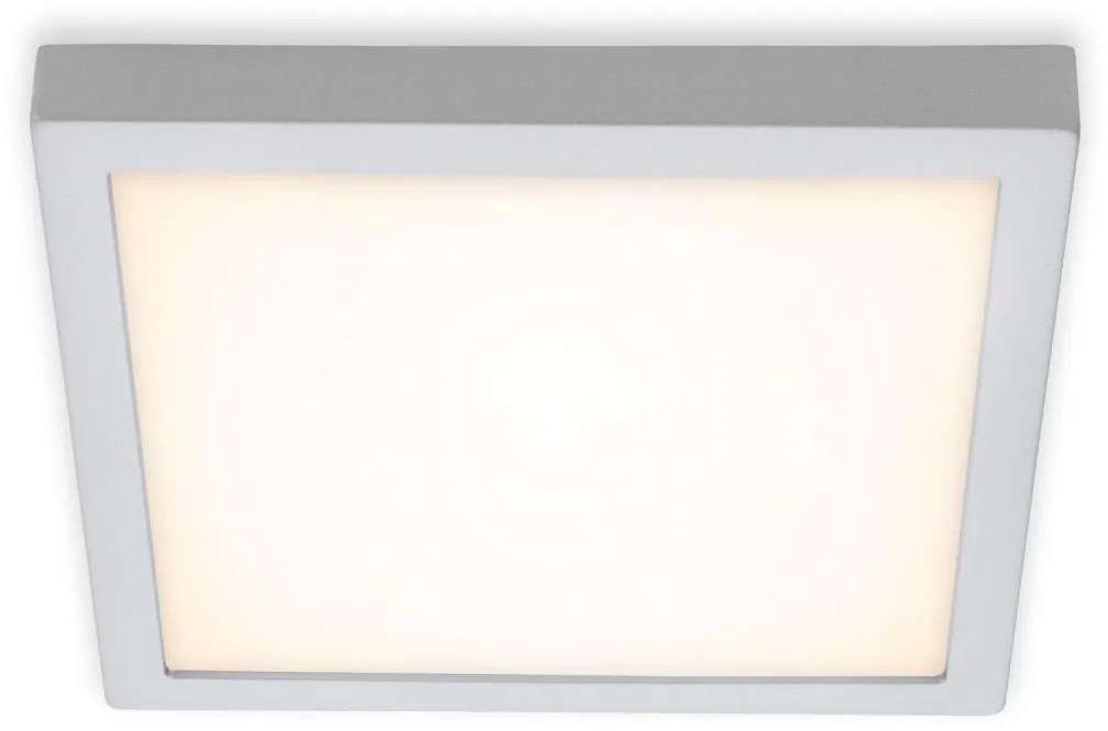 Briloner 7142-014 - LED Stropní svítidlo FIRE LED/21W/230V 3000K