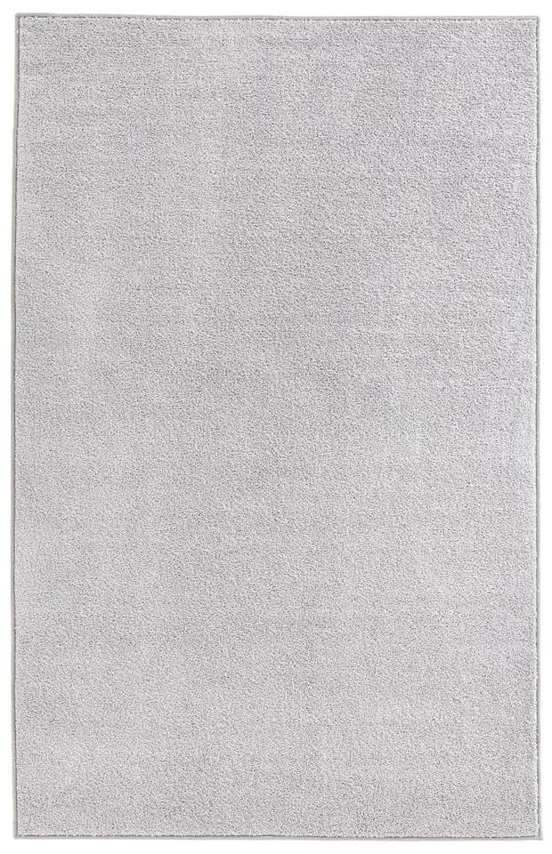 Světle šedý koberec Hanse Home Pure, 160 x 240 cm