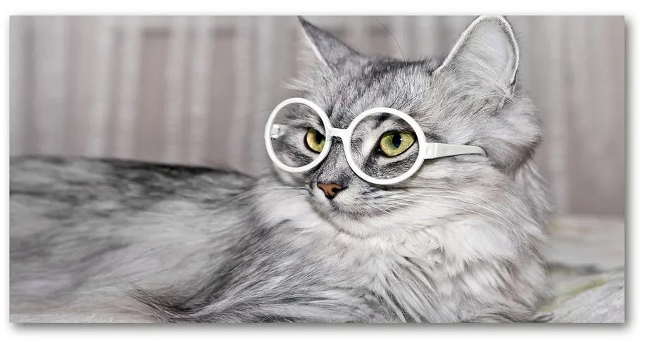 Wallmuralia Foto obraz akrylové sklo Kočka v brýlích 120x60 cm