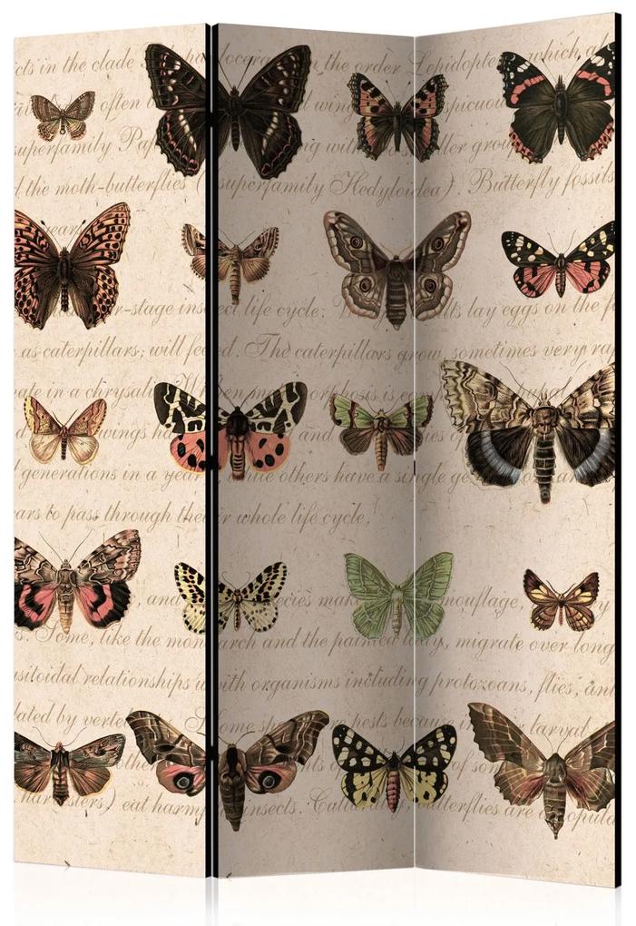 Paraván - Retro Style: Butterflies 135x172