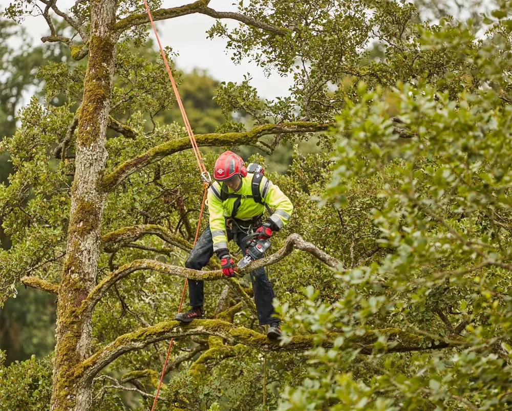 CRAMER 82TCS15 akumulátorová vyvětvovací řetězová pila