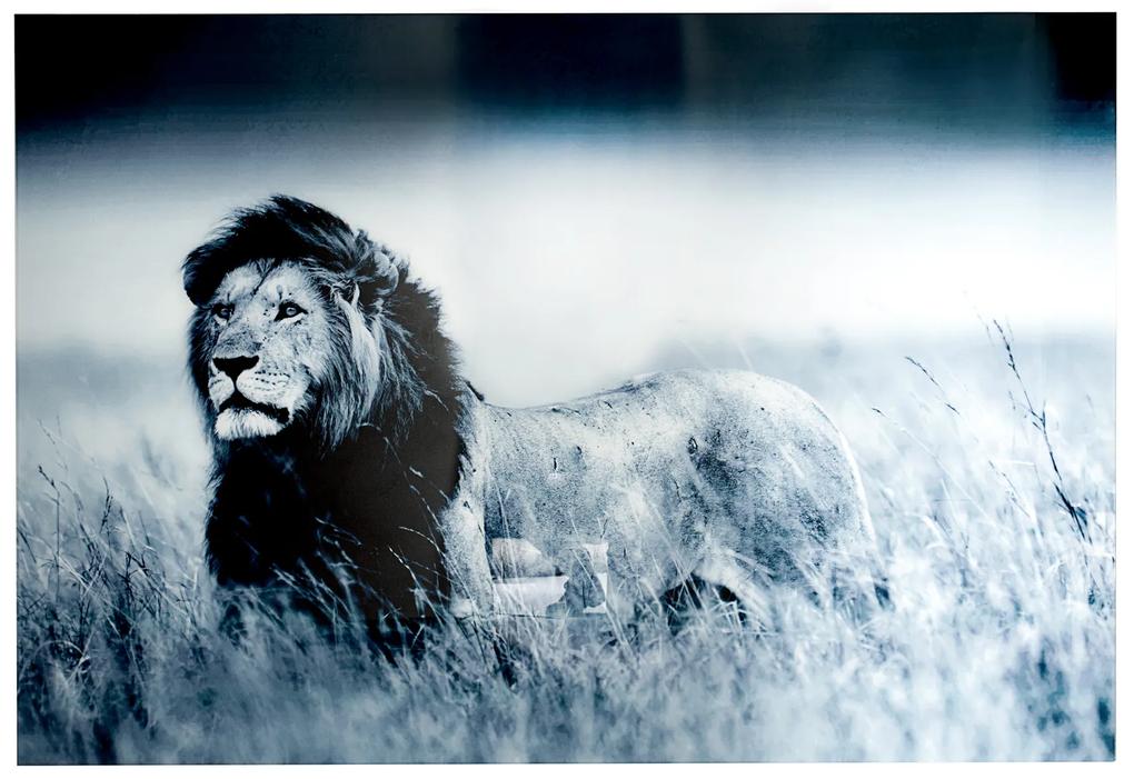 Bighome - Obraz LION 140x95 cm