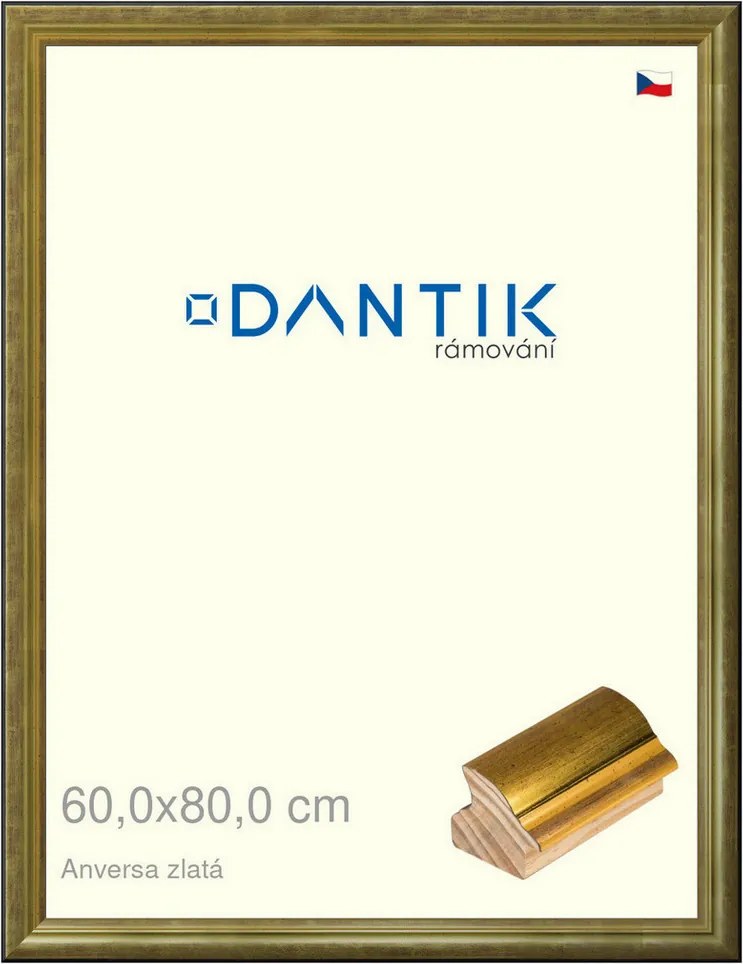 DANTIK rámeček 60x80 | ANIVERSA zlatá (Plexi Čiré)