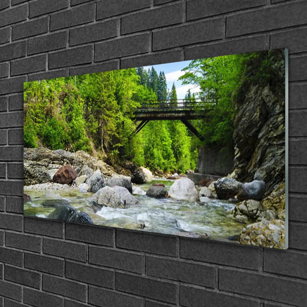 Obraz na skle Dřevěný Most v Lese 125x50 cm