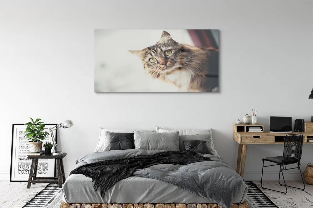 akrylový obraz Mainská mývalí kočka 140x70 cm