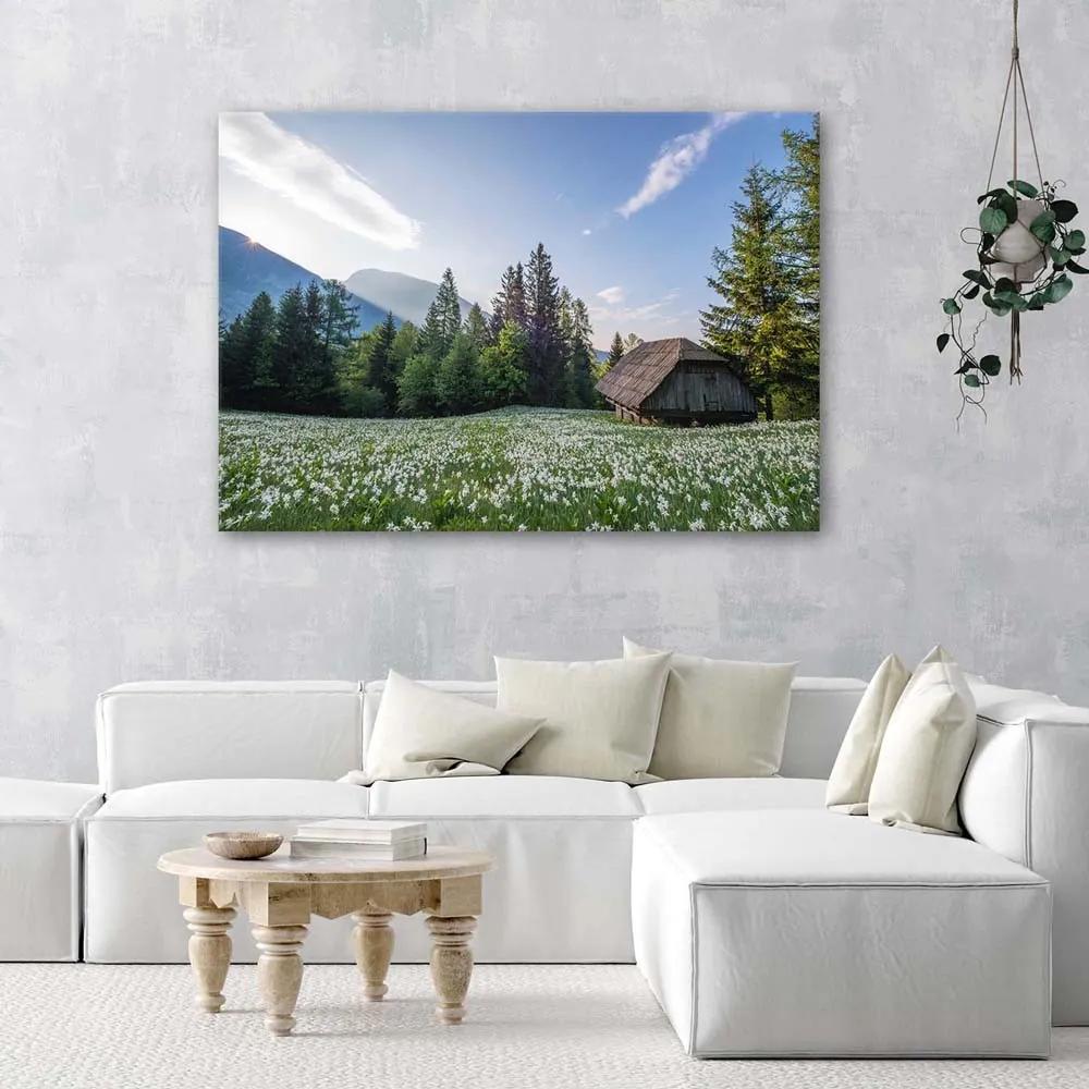 Gario Obraz na plátně Dřevěný dům mezi stromy Rozměry: 60 x 40 cm